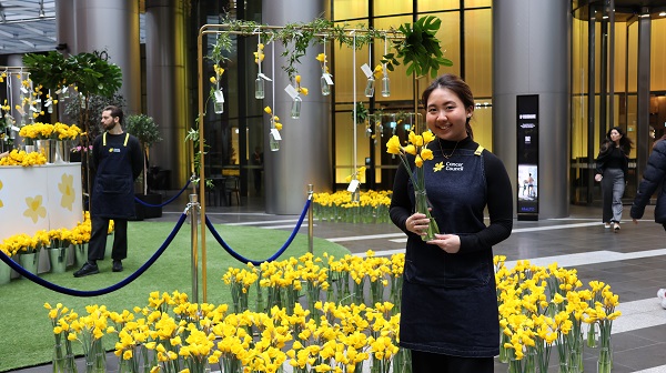 Daffodil Day turns Victoria into a sea of yellow